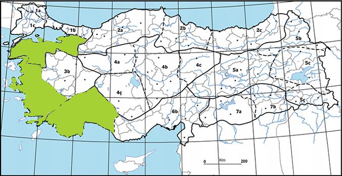 Türkiye Bitkileri Listesi | 2015 | Nezahat Gökyiğit Botanik Bahçesi